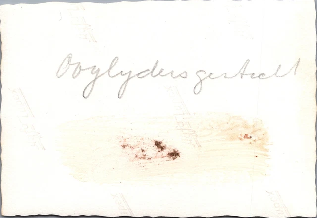 FOTO, BLICK AUF das schwer beschädigte Amsterdam, Niederlande, 20 D/106 ...