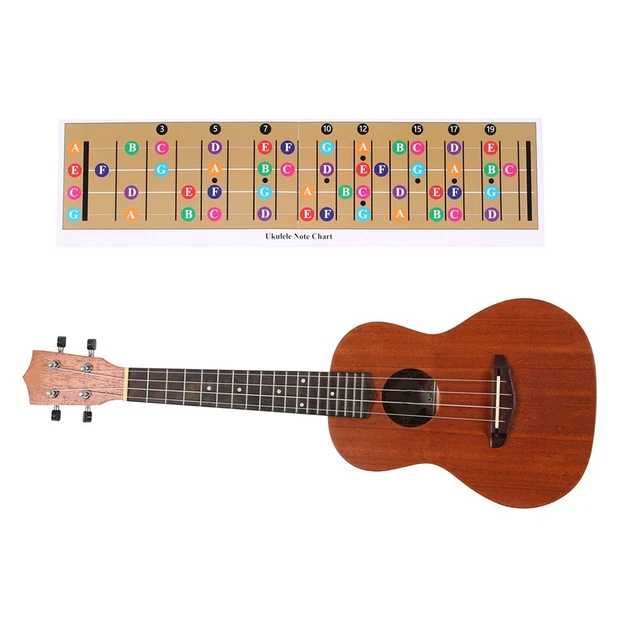 FRETBOARD NOTE CHART Guitar Fretboard Note Chart Color Coded Plastic ...