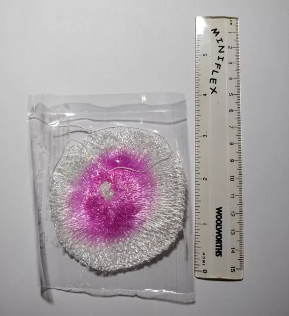 GEIGER COUNTER CHECK Source, Thorium Coated Tilly/Pressure Lantern ...