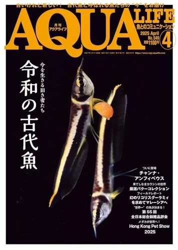 AQUA LIFE APRIL 2025 Magazine Japan Ancient Fish Polypterus Black ...