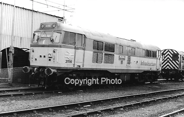 B&W PHOTO BR/BRUSH class 31 No.31116 'Rail Celebrity' at Derby Etches ...