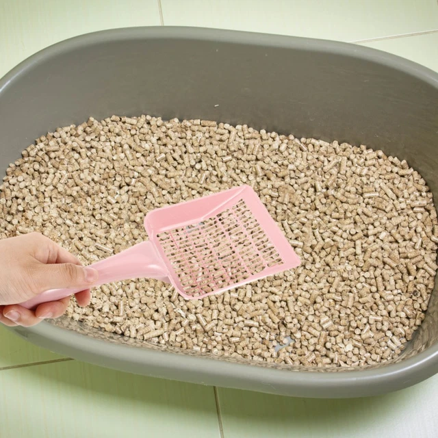 4 PCS KITTEN Litter Scoop Cat Scooper Small Holes Cleaning Tools $19.78 ...