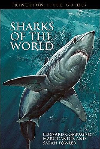 SHARKS OF THE World (Princeton Field Guides) - Paperback - GOOD $8.43 ...
