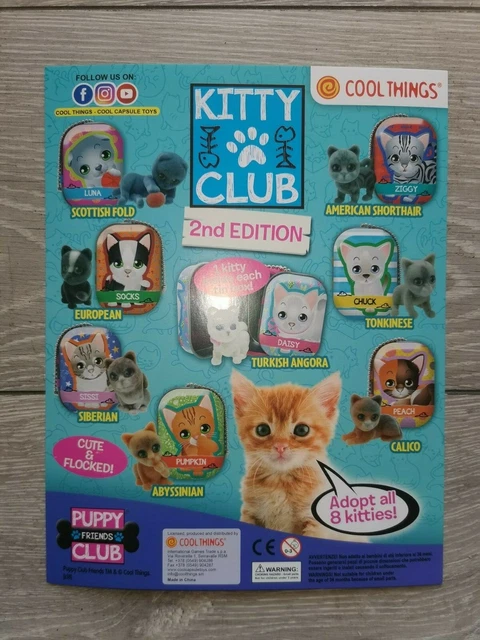KITTY CLUB PUPPY Club Friends full set of 8 Kittens in own tins Brand ...