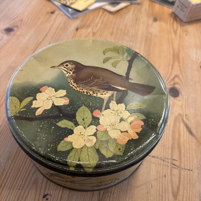 BIRD DECORATED BISCUIT Tin Vintage 8 Inch Diameter £10.00 - PicClick UK