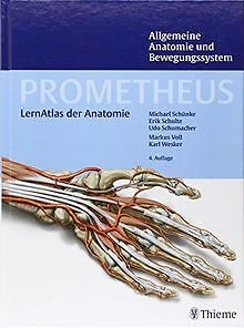 PROMETHEUS LERNPAKET ANATOMIE: LernAtlas Anatomie von Sc... | Buch ...