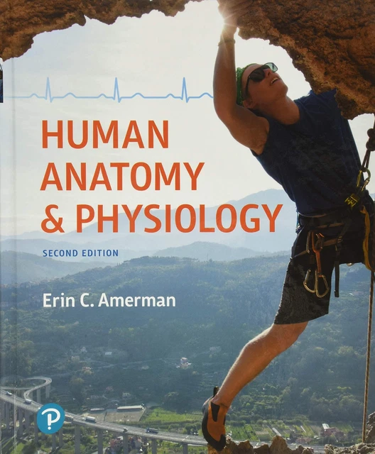 HUMAN ANATOMY & Physiology (Masteringa&p) £140.15 - PicClick UK