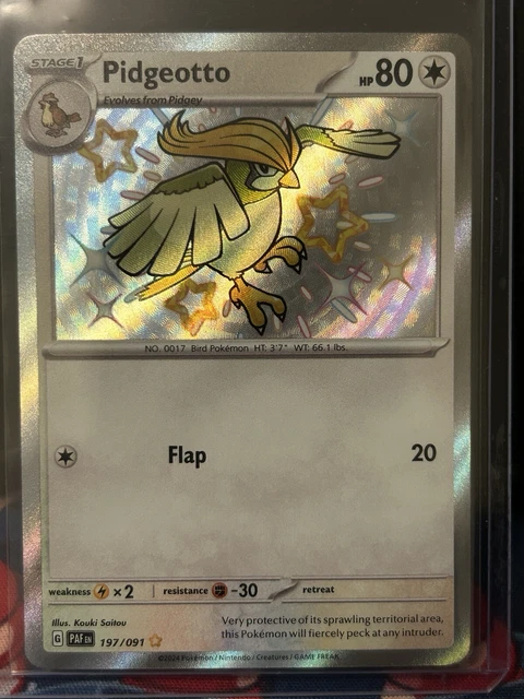 PIDGEOTTO (SHINY HOLO Rare) | 197/091 | Paldean Fates | MINT | Pokémon ...