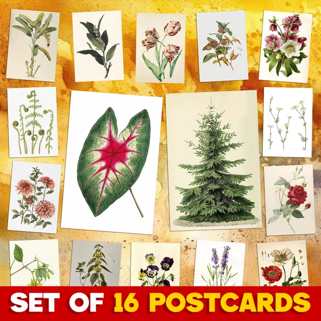 SET OF 16 NEW Botanical Forest Vintage Postcards Cards + 16 Envelopes ...