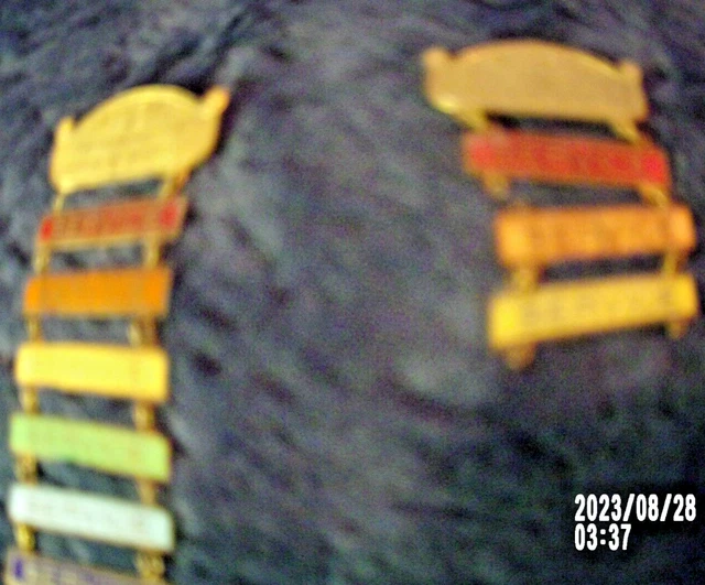 2-VINTAGE MASONIC INTERNATIONAL Order of the Rainbow Merit Service Pins ...