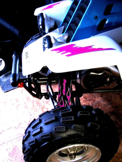 SHOCK COVER,RAPTOR ,BANSHEE,WARRIOR,BLASTER Atv, Pink Flame Set Of 3 ...