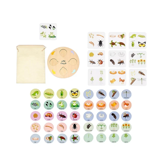 LIFE CYCLE TRAY Flash Cards Matching Game Toddlers Fine Motor Skill Toy ...