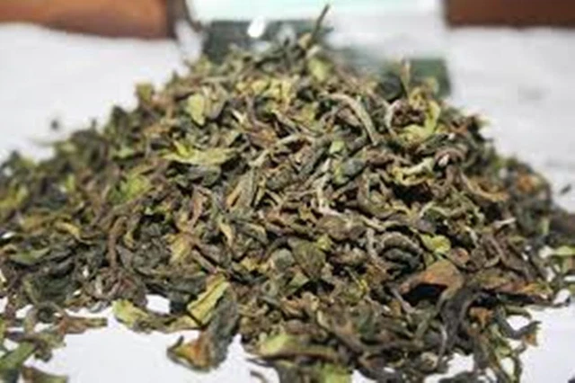 DARJEELING GREEN TEA (FRESH SECOND FLUSH 2025) ARYA ORGANIC 1LB £48.03 ...