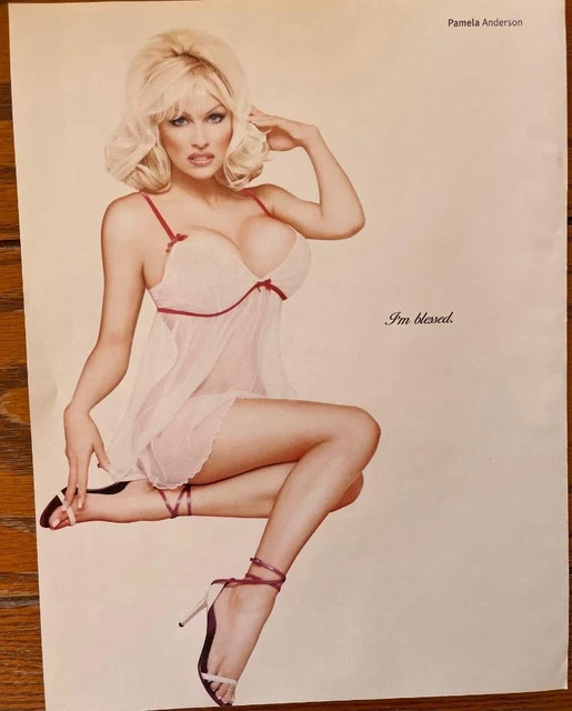 PHOTO PIN UP PAMELA ANDERSON PAR RICHARD McLAREN PAMELA MONTRANT « JE SUIS BÉNI » EUR 6,72 ...