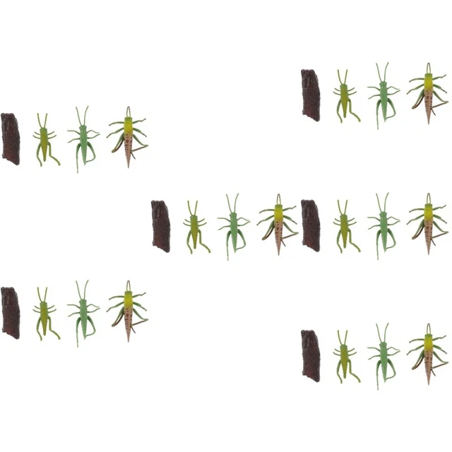 INSECT LIFE CYCLE Model Locust Life Cycle Model Life Cycle £35.25 ...