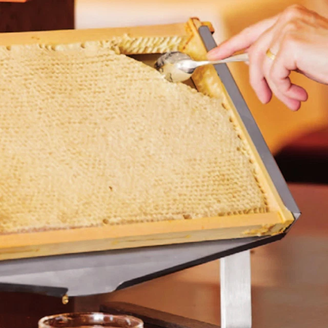 HONEYCOMB FRAME DISPLAY Stand Honeycomb Display Shelf Beehive Frame ...