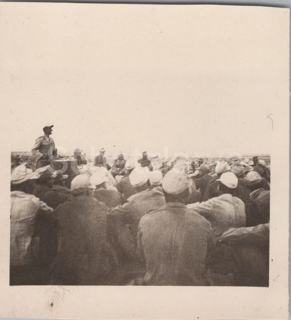 FOTO PANZER GR. Afrika (DAK) Besprechung, el-Alamein EGY 1942, 02 (MJ ...