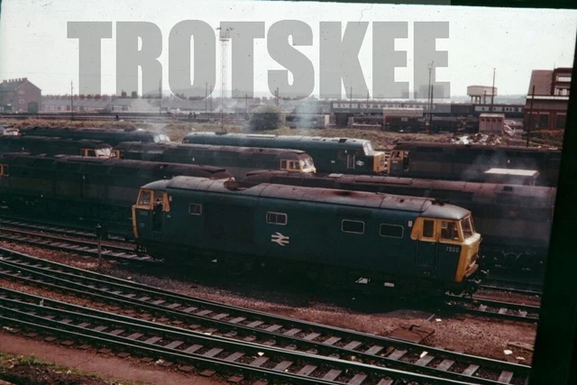 35MM SLIDE BR British Railways Diesel Loco Class 35 D7000 Old Oak Common 1972 £8.49 - PicClick UK