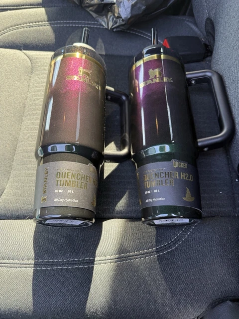 STANLEY X WICKED Elphaba For Good 30oz FlowState Quencher Tumbler IN ...