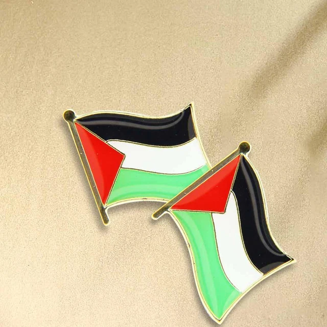 PALESTINE PALESTINIAN DIPLOMAT Brooch Country Flag Lapel Pin Badge AU ...