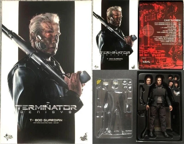 FIGURINE HOT TOYS MMS307 Terminator T-800 Guardian Genisys 1/6 Occasion ...
