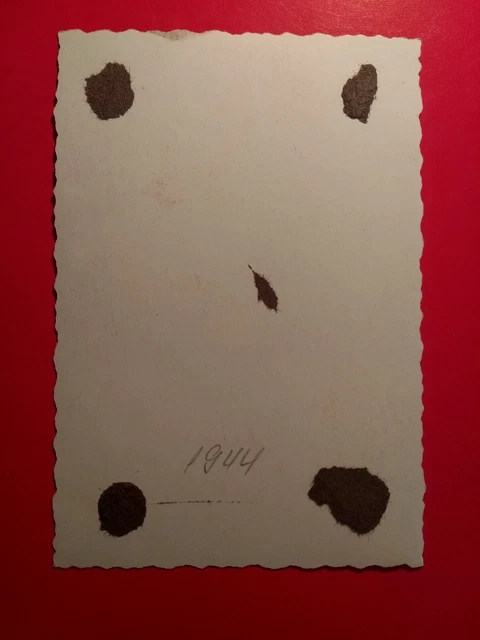 ALTES FOTO ANTIK hübsche junge Männer haben Spaß fun bussines men old ...