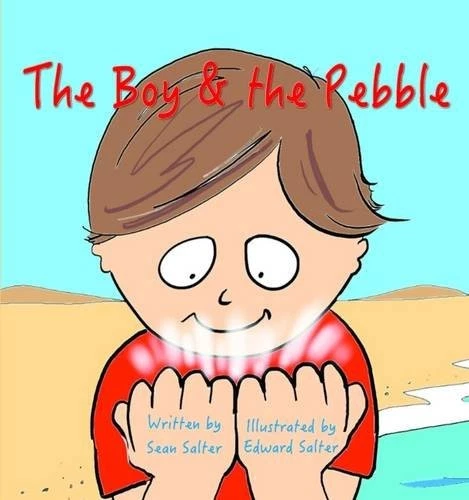 THE BOY & the Pebble-Sean Salter, Edward Salter £9.39 - PicClick UK