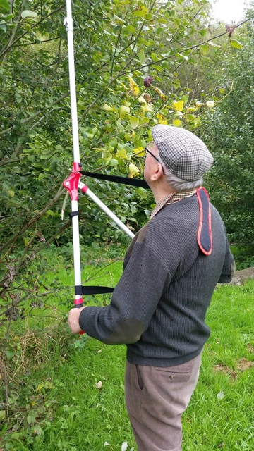 LONG REACH TELESCOPIC Tree Pruners Loppers 8ft Bypass Extendable ...