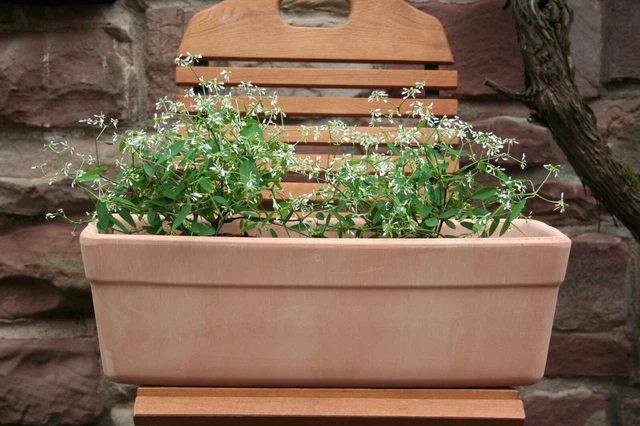 TONTOPF TERRAKOTTA PFLANZTOPF Balkonkasten ca 50 cm lg. EUR 20,50 ...