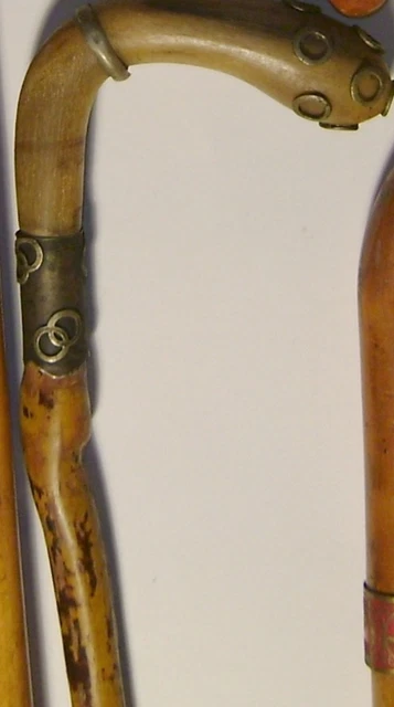 CATTLE HORN WALKING cane walking stick Fraternal Odd Fellows Vintage ...