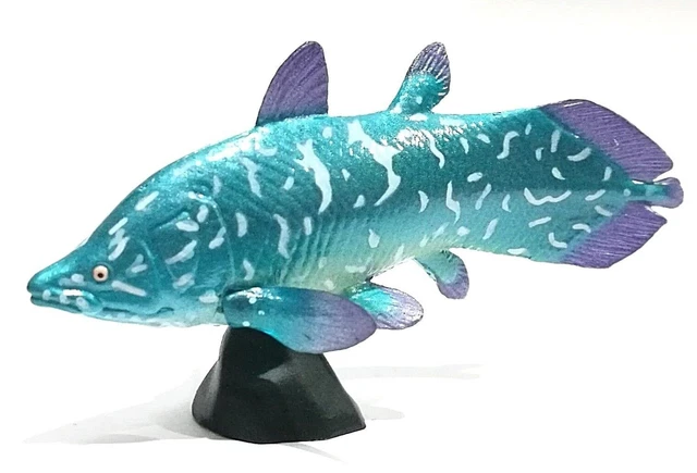 FIGURINE POISSON RÉALISTE Japon Kaiyodo Dinotales Axelrodichthys ...