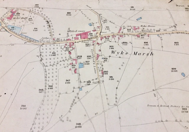 ORIGINAL 1887 HAND Coloured Ordnance Survey Map Of Wyke Marsh £30.00 ...