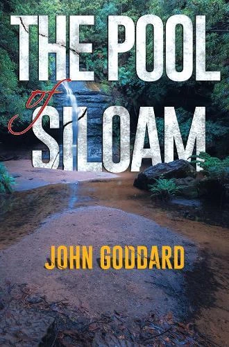 JOHN GODDARD THE Pool of Siloam (Poche) EUR 12,65 - PicClick FR