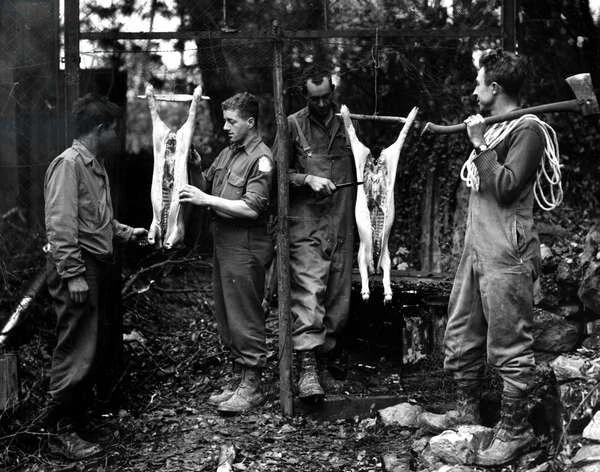 US WW2 PHOTO Metz Fort Moselle Lorraine Alsace Vosges Heer Maginot All ...