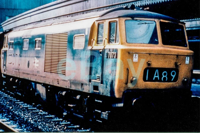 UK RAILWAY PHOTOGRAPH Class 35 Hymek Locomotive D7073. RM35-54 £1.70 ...