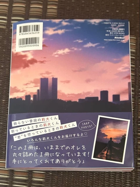 STOPPURI RIINU MEMORI Fan Book Fiction Collectible Used £46.82 ...