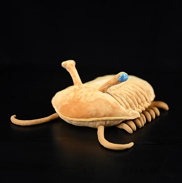 30CM SIMULATION PALEONTOLOGY Trilobites Cambrian period Plush Toy Soft ...