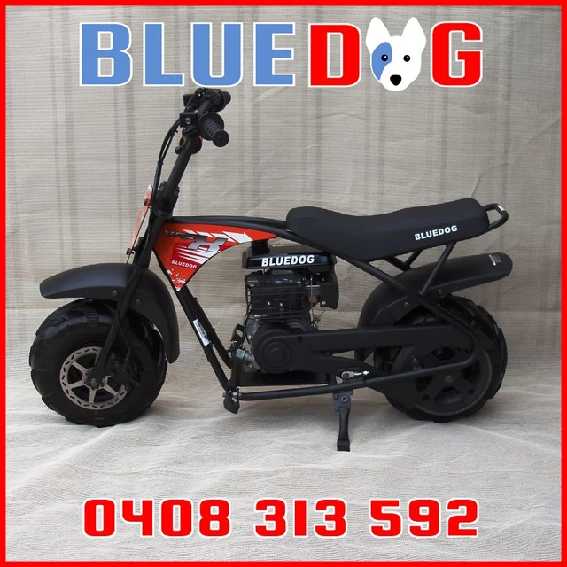 BLUEDOG VREX LIKE Deltex Deckson 80cc Mini Bike Freight INC To VIC,NSW ...