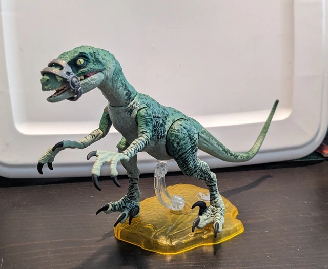 JURASSIC WORLD AMBER Collection Velociraptor Delta 6-in Collectible ...