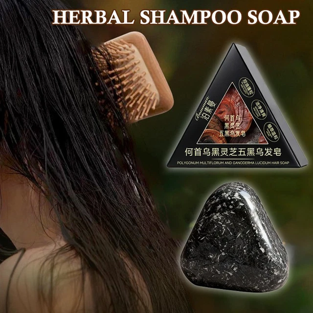ARBORVITAE LEAF & Fleeceflower Root Black Reishi Herbal Shampoo Soap E3 ...