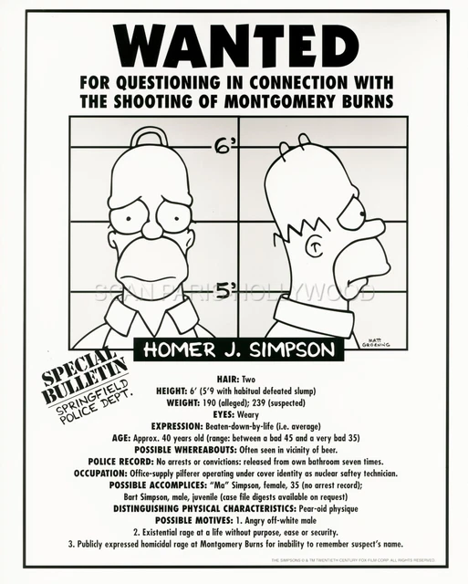 1990 THE SIMPSONS Homer Simpson Vintage Original Photo £12.83 - PicClick UK