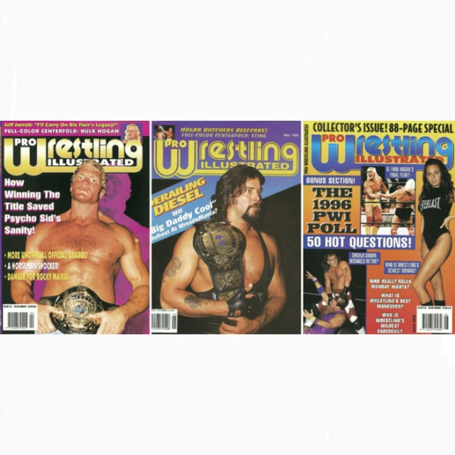 WWE WRESTLING, PRO Wrestling Magazines Illustrated In English £5.24 ...