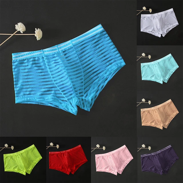 SEXY MENS SHEER Mesh Boxer Briefs Transparent Underwear Shorts Trunks ...
