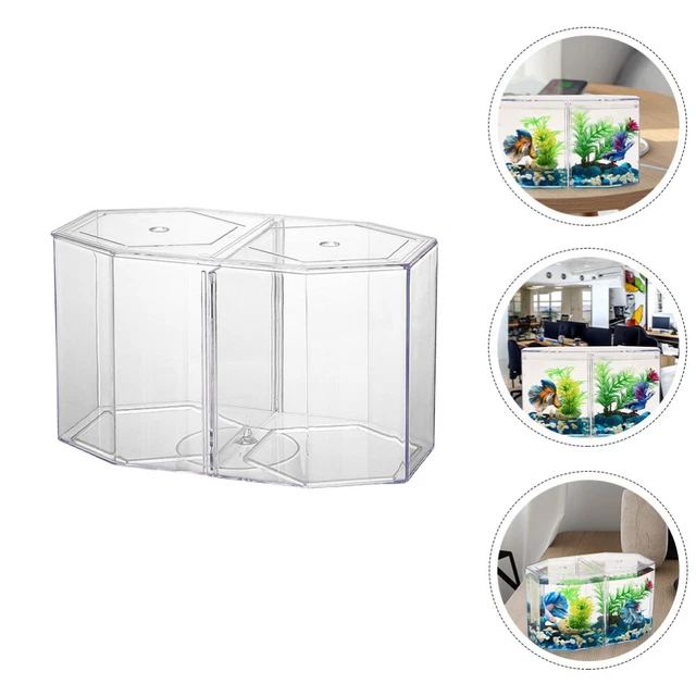 BETTA BOX SPIDER Terrarium Fish Hatchery Incubator Vivarium Tank £16.95 ...