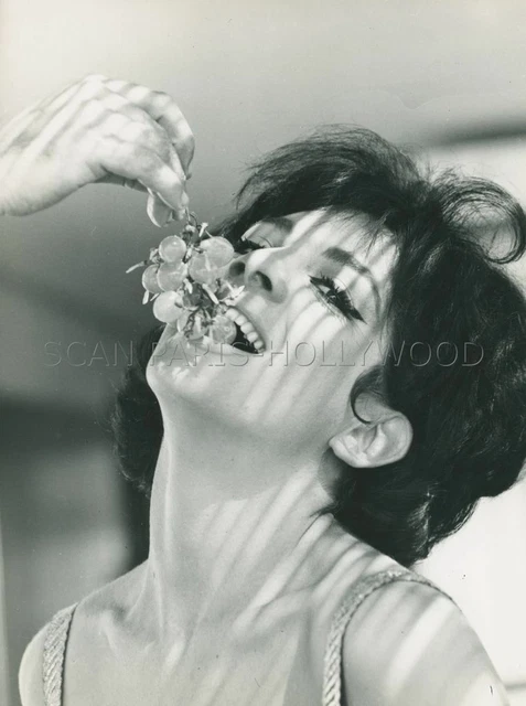 ZIVA RODANN LES Saintes-Nitouches 1963 Photo Original #3 EUR 24,99 ...