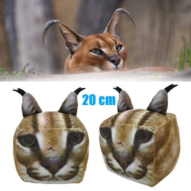 20CM BIG FLOPPA Plush Doll Cartoon Cat Plushie Floppa Toy Kids 3D ...