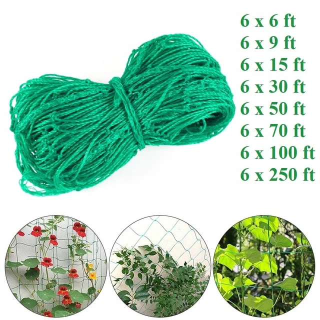 GARDEN PLANT CLIMBING Net Trellis Netting Mesh Support Fruit Vine 6FT ...
