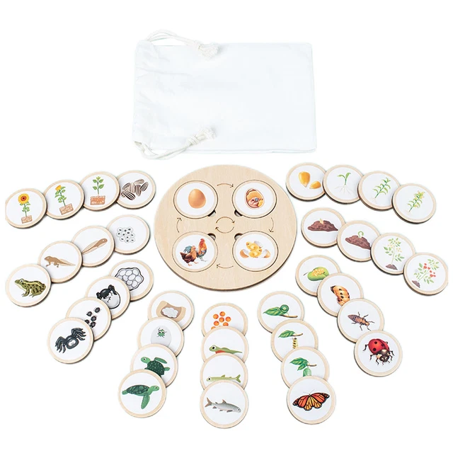 WOODEN LIFE CYCLE Board Puzzle Teaching Aids Montessori Toddler ...