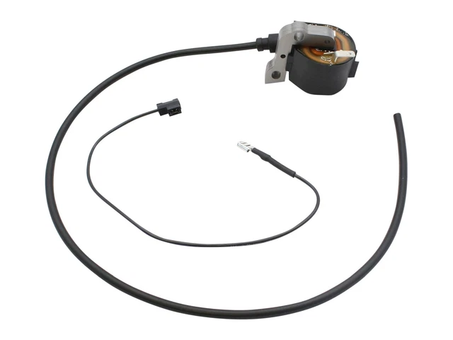 ZÜNDSPULE ZÜNDANKER ZÜNDUNG 2-Takt kompatibel mit AS Motor AS 53 21 28 480 530 EUR 95,00 ...