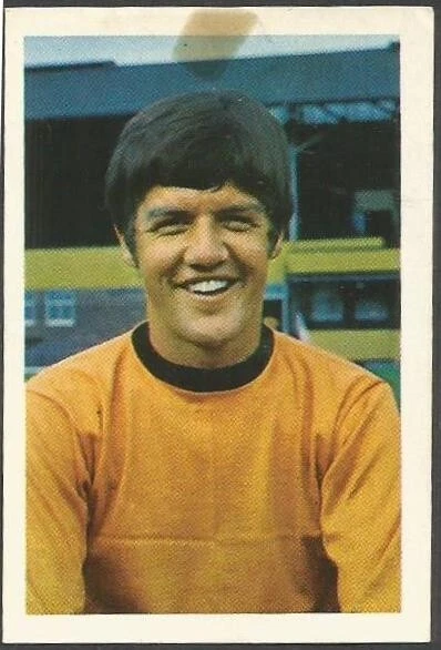 FKS 1968/69 WONDERFUL World Of Soccer-#321-Wolverhampton Wanderers ...